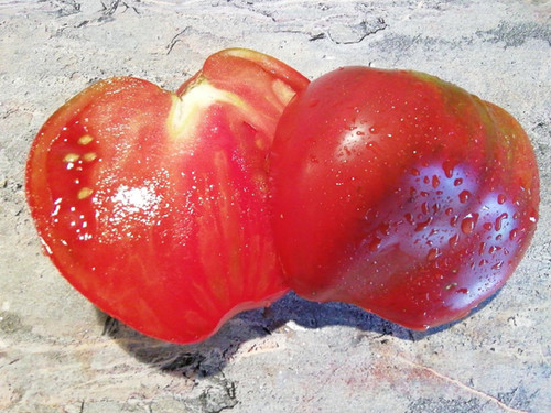 244- Brad’s Black Heart / Чёрное сердце Бреда | Tomatoeden