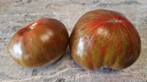 4439 - Striped Bull / Полосатый Бык | Tomatoeden