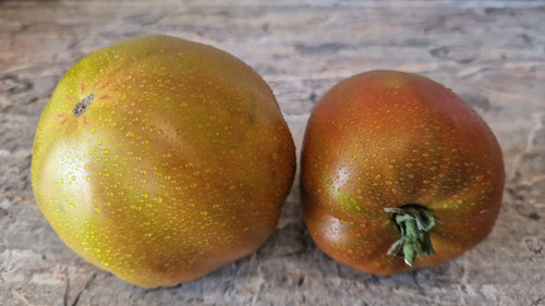 4543 - Rusted Soul / Заржавевшая Душа | Tomatoeden