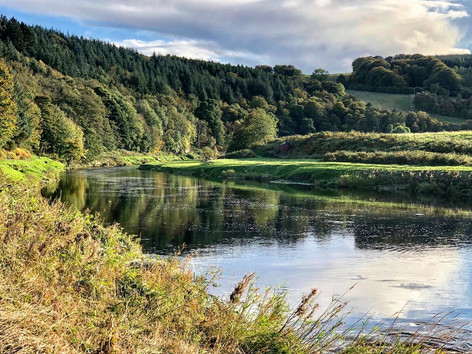 Deveronside Fishings | Our Beats | River Deveron