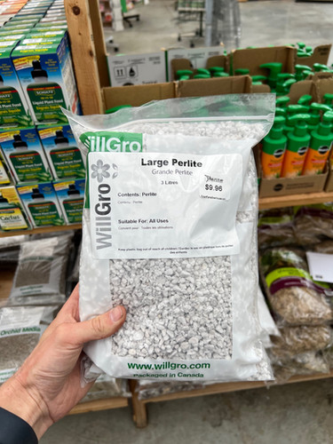 WillGro Large Perlite | Robert Plante