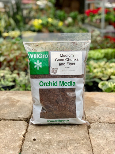 Medium Coco Chunks and Fiber, 3L | Robert Plante
