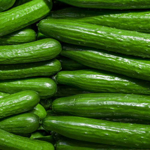 Cucumber & Zucchini Seeds | Robert Plante