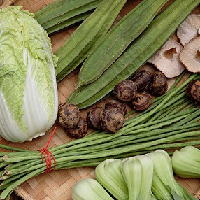 Asian Vegetables Collection Seeds | Robert Plante