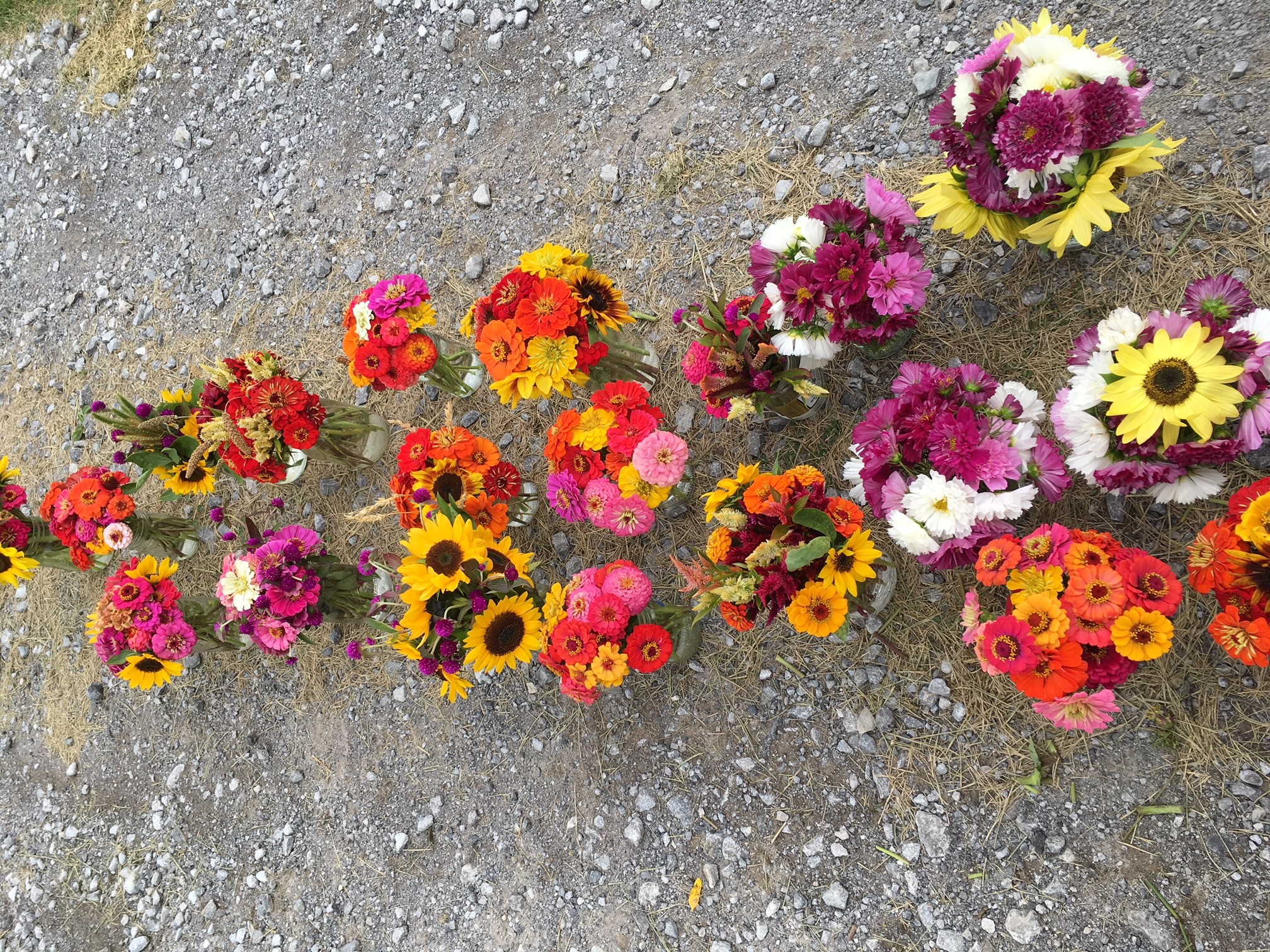 Burley Berries and Blooms