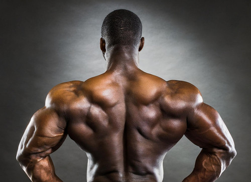 WEIGHT GAINER | M-Muscle Shop