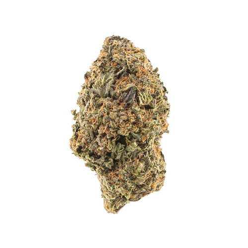 Willy's Wonder - 30.86% THCa Light Dep Flower | Veteran Grown Hemp
