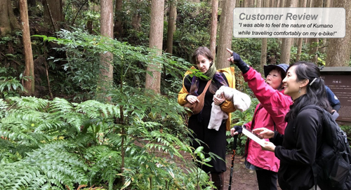 E-bike Cycling in Koguchi and Walking the Kumano Kodo | IACE TRAVEL ...