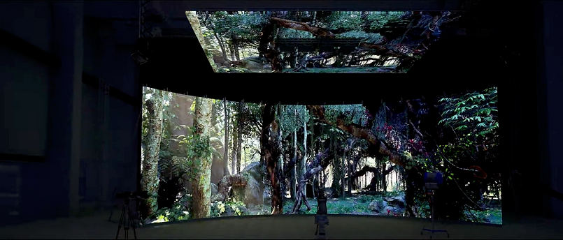 About Us | X3D Studio