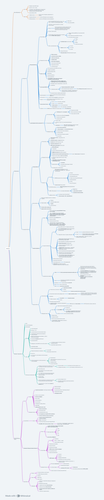 Clinical Imaging 3 Arthritis Mind Map Flow Chart | Reformed Wellness