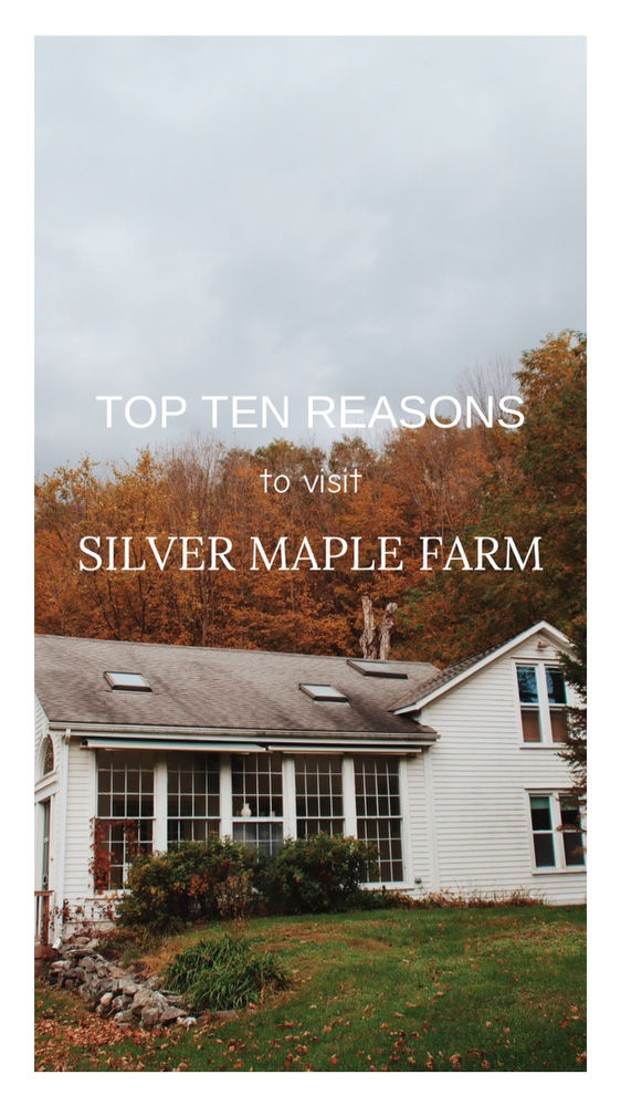 Top 10 Reasons to visit Silver Maple Farm
