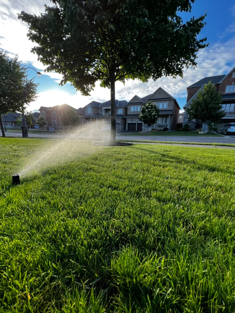 PJL Land Services | Expert Lawn Sprinkler & Landscape Lighting Services ...