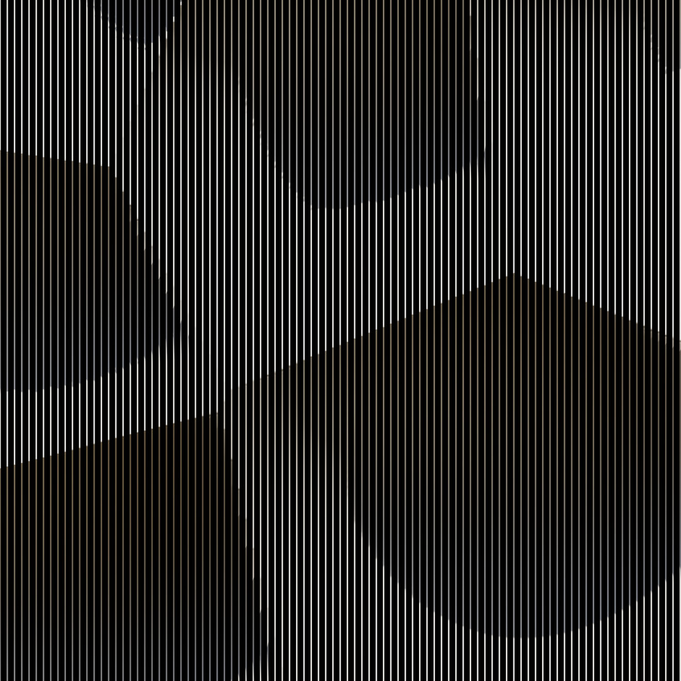 Random Curve Wall Pattern | JuneLee Architecture