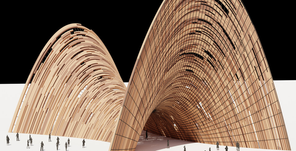 Catenary Curves Paneling Rhino Grasshopper Arquitectu