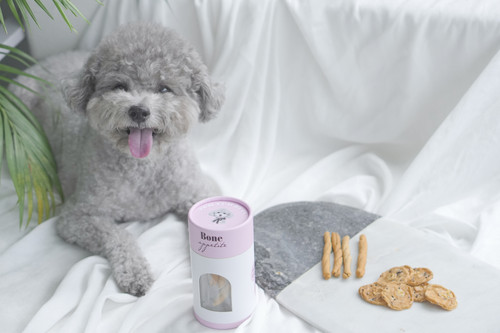 All Products | Yum Yum Bean