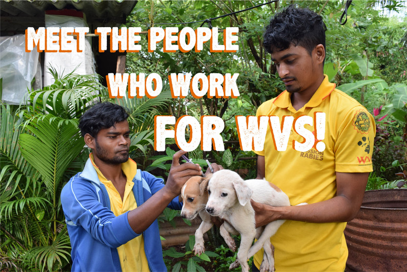 Join the fun! - Young Vets Club