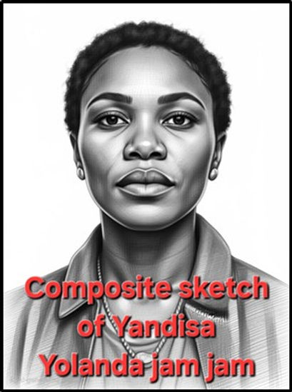SUCCESS PROJECT: HABITUAL AND PERSISTENT MISREPRESENTATION - YANDISA ...