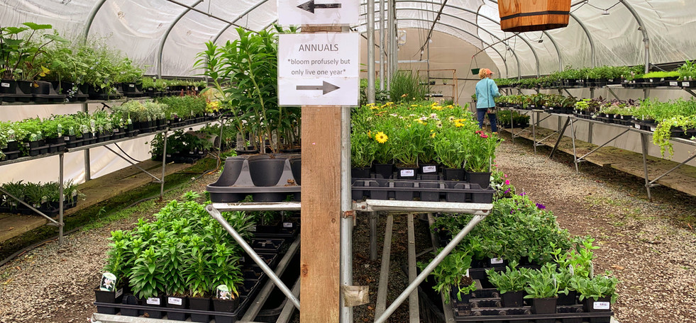 Building Supplies Store | Donabel | United States