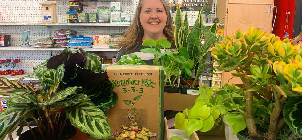 Building Supplies Store | Donabel | United States