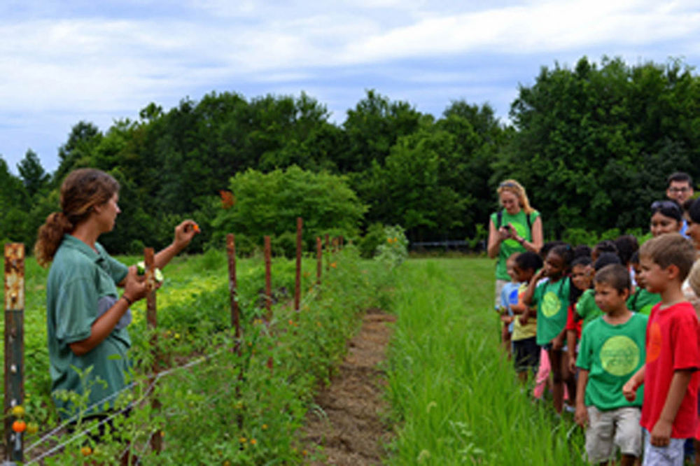 Agrarian vs. Industrial