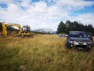 Native Restorations Ltd | Invasive species control