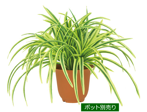 ドラセナブッシュ(イエロー/グリーン) LEB-8045 YL/GR | art garden