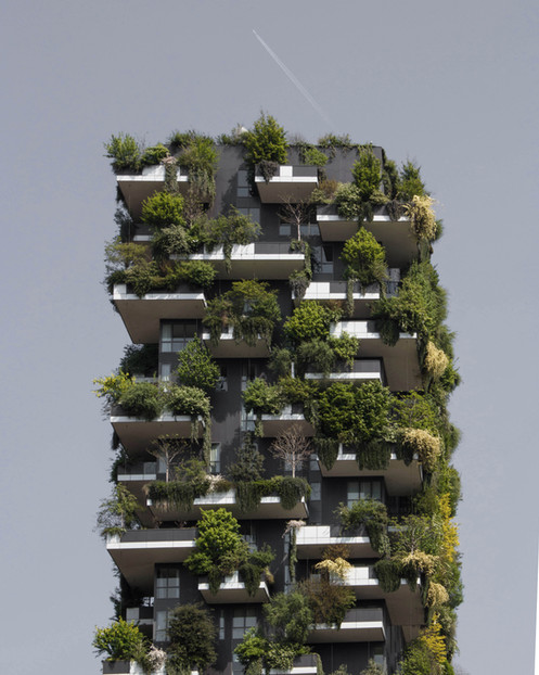 ABOUT US | WLC-Design