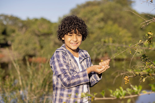 Year 2, term 1: math, English, science, and HASS | Home Education Hub