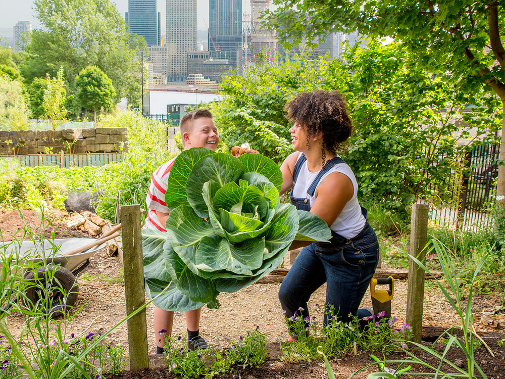 Farncombe Community Garden Crowd Funder