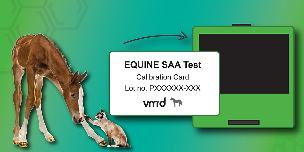 The Calibration of VMRD Serum Amyloid A (SAA)