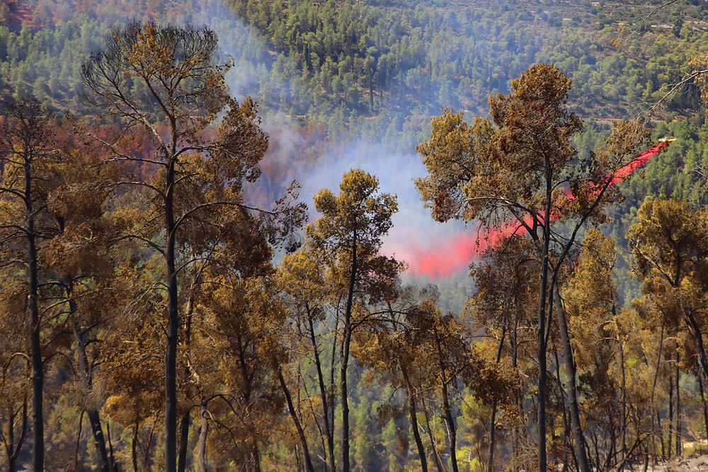 Out of control forest fire forces evacuations near Saint Andrews, NB