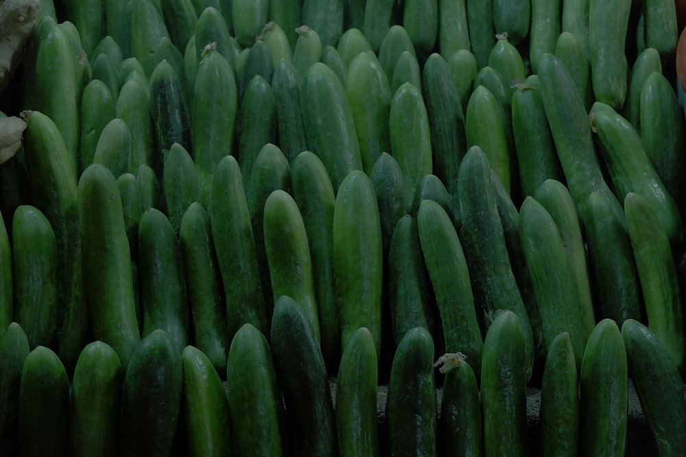 The Ancient African Cucumber Intro