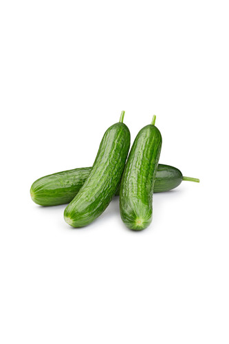 Cucumber Ashley | PROLIBUDS