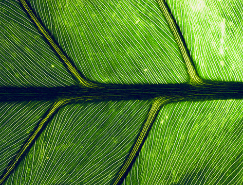 E Ink Signage | SuperUs