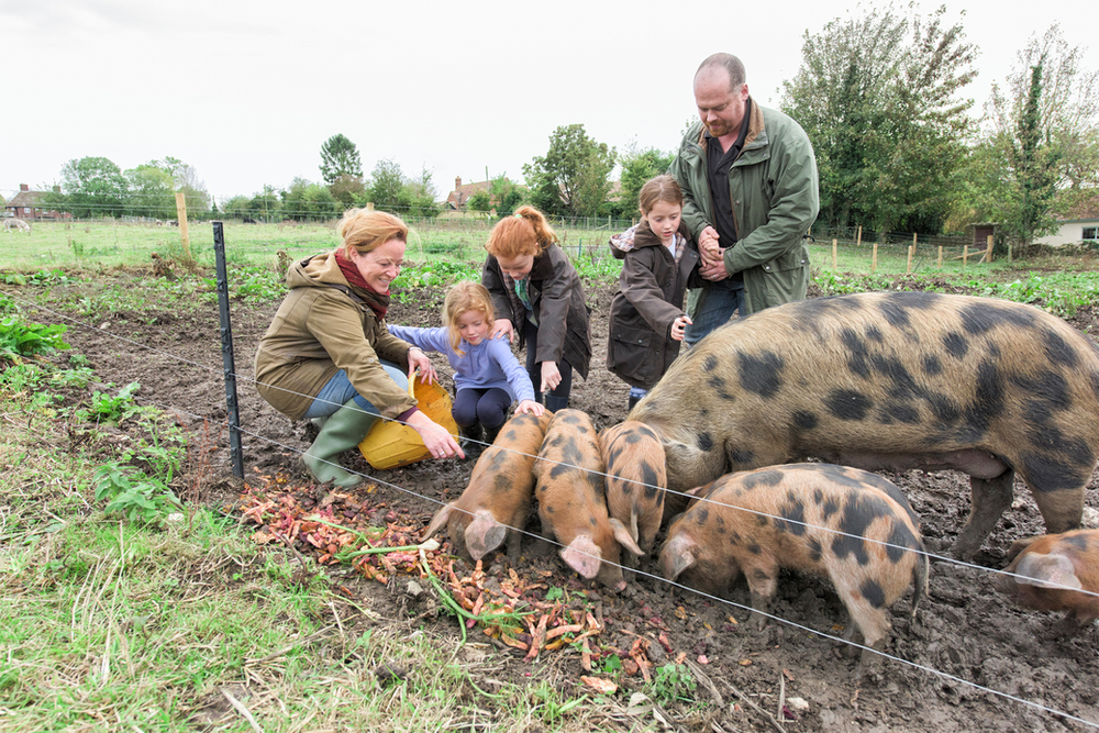 How to make your own Livestock or Animal Feeds - See-Mor Grain