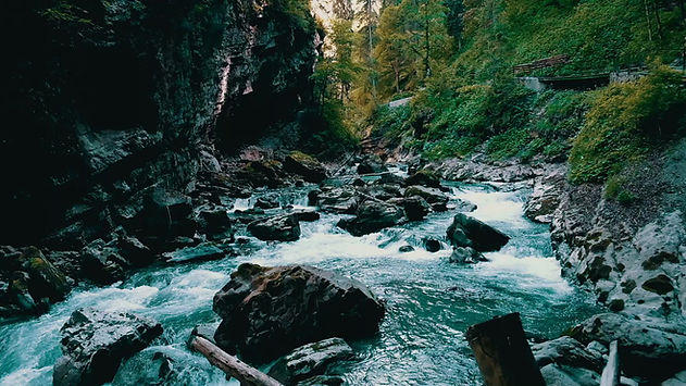 Home | Olympic Adventure Camp