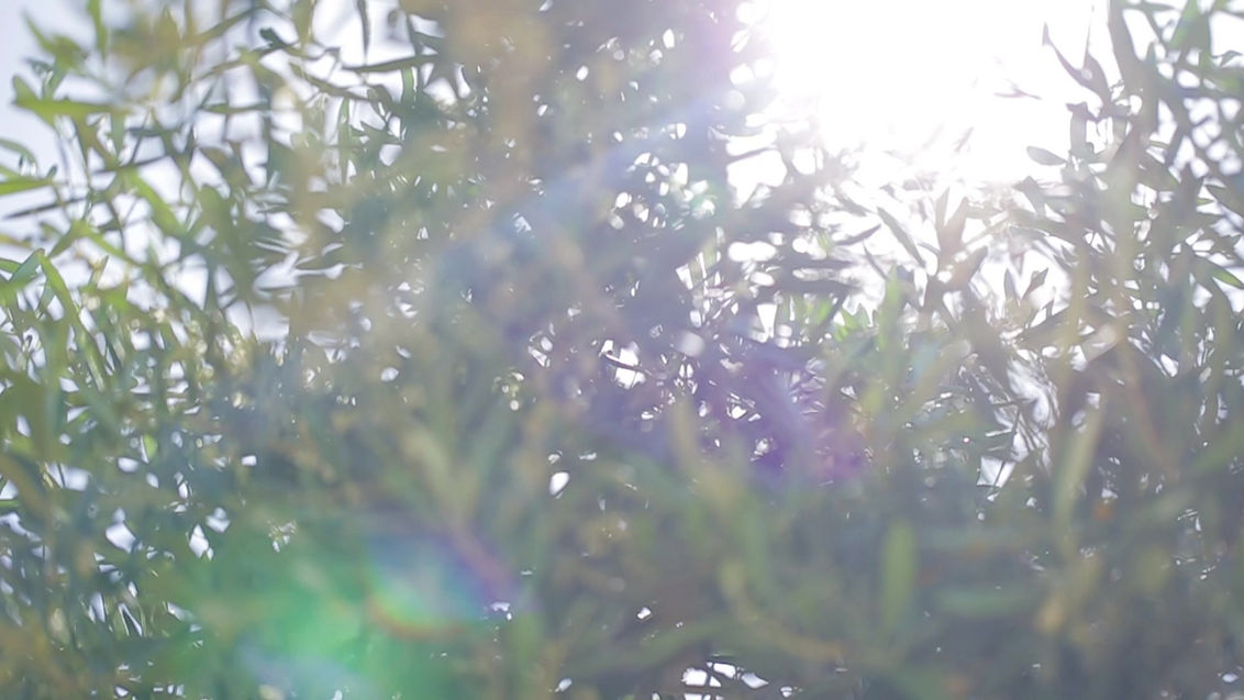 Summer Camp | Rockfish Camp and Retreat Center | North Carolina