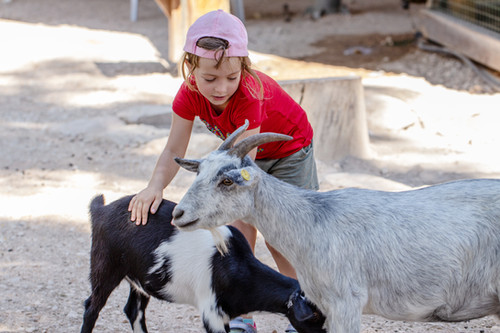 The Special Spirit Petting Farm | FUN WITH KIDS IN LA