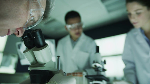 GCSE Biology Required Practical B1 - Microscope revision booklet ...