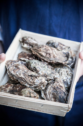 Gift an Oyster Box | SWB QA