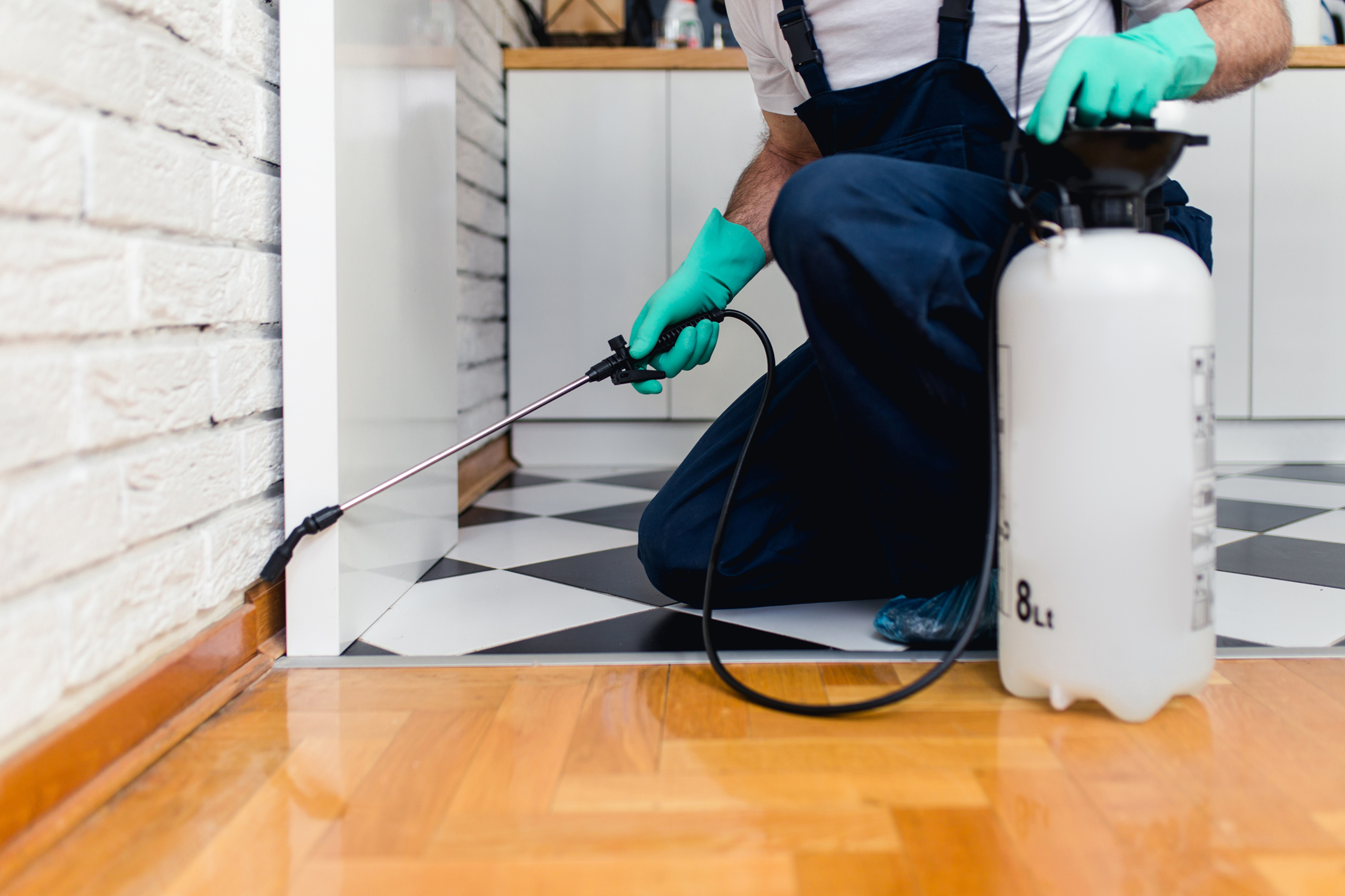 Pest Control Business Insurance in Louisiana
