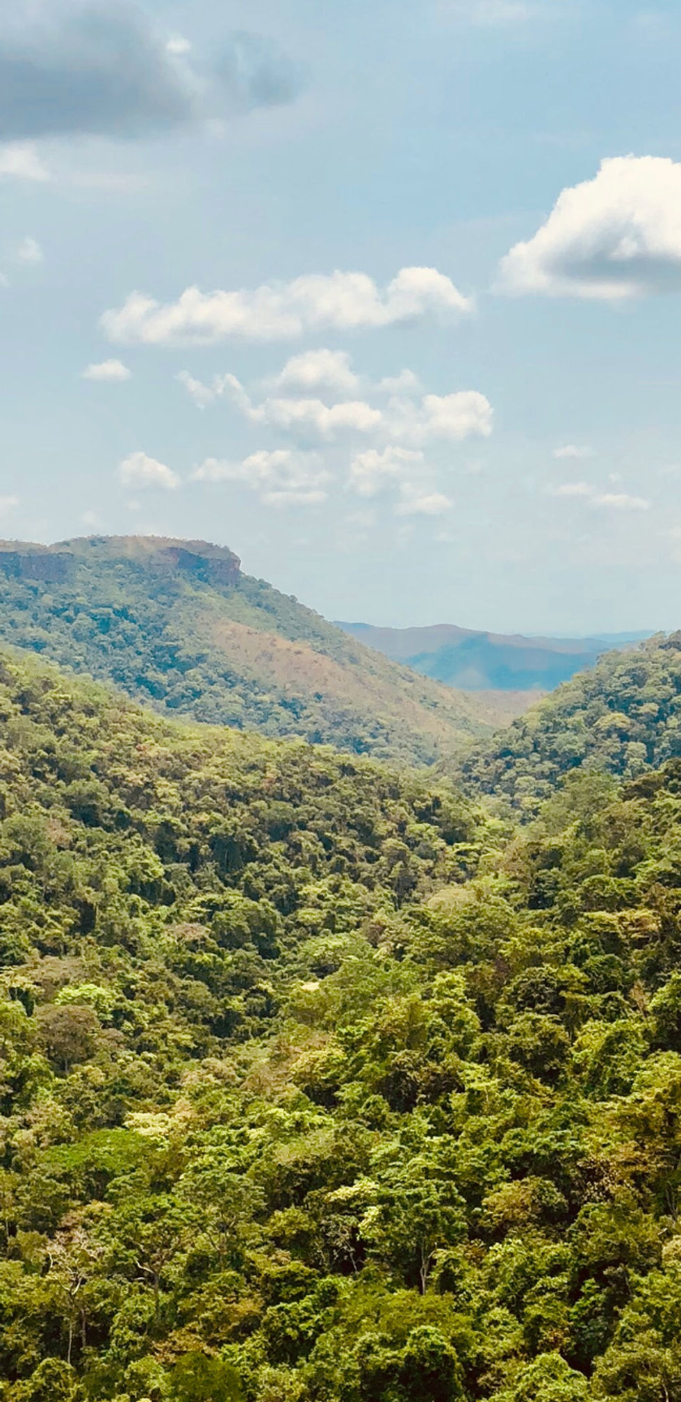 Disminución De Contaminantes Ambientales | Enemol Energía Molecular