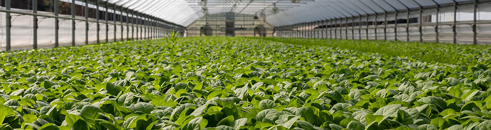 販売商品一覧 | CSPLANET AGRIBIO