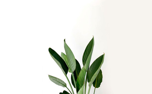 Adolescence and Sexuality | Jodi Bergman