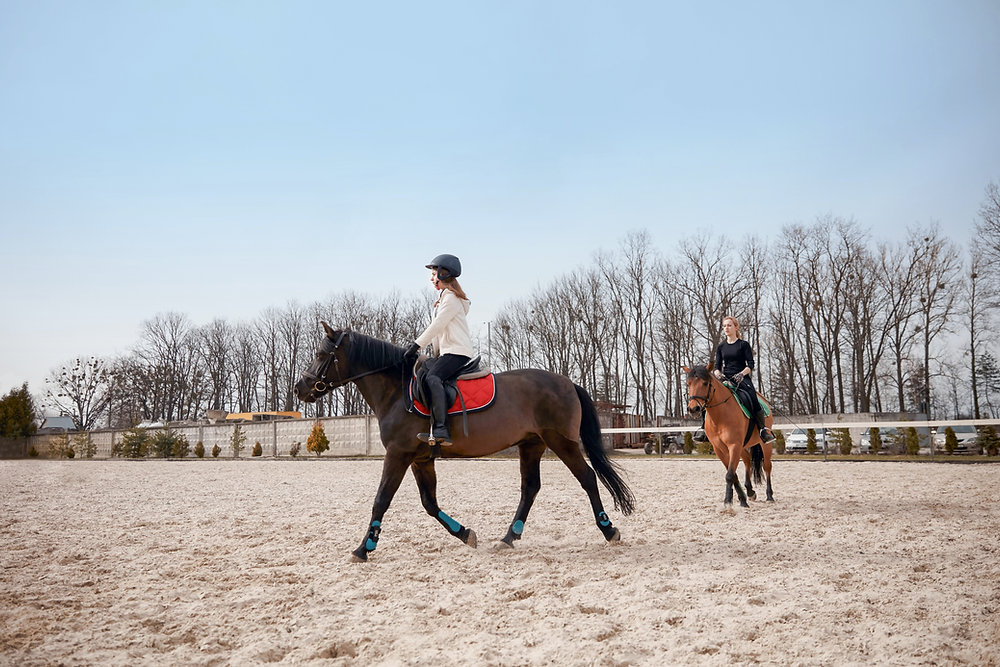 Unbridled Joy: How Silver Spur Stables Brings Smiles to Trauma Survivors