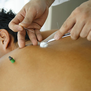 tcm practitioner certification