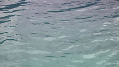 Preise & Fahrplan | Fahrgastschiff Maria Croon | Saarschleife