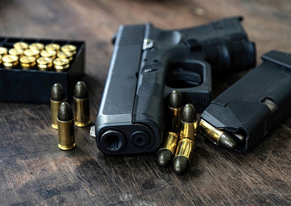 Custom Firearm | American Armory LLC