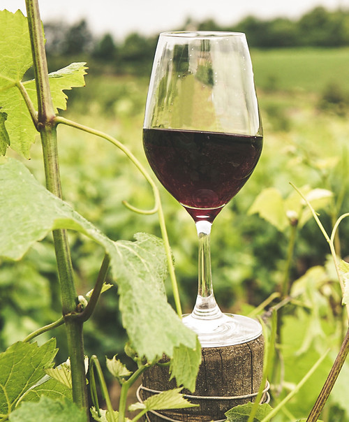 Meals & Drinks - Colbinabbin Country Hotel | Colbinabbin