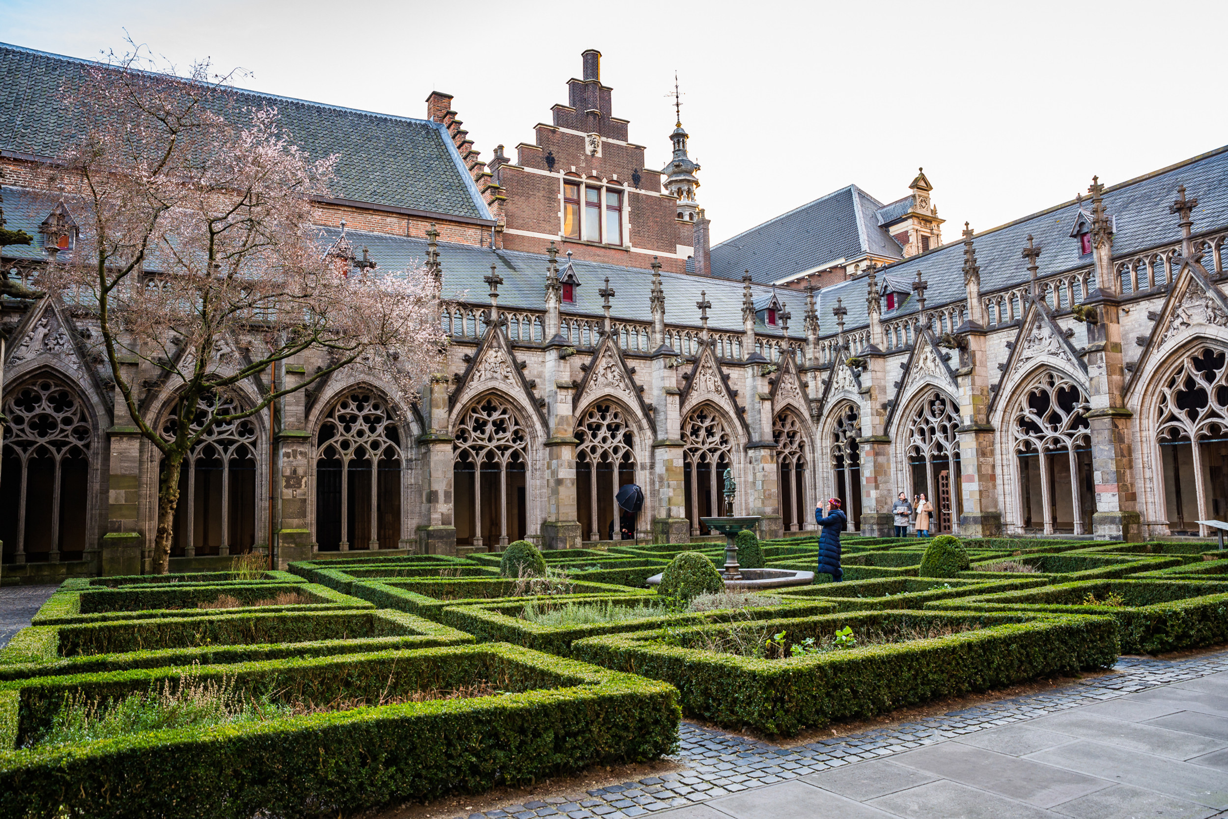 Academic Abuse Is Fueling the Enrollment Cliff